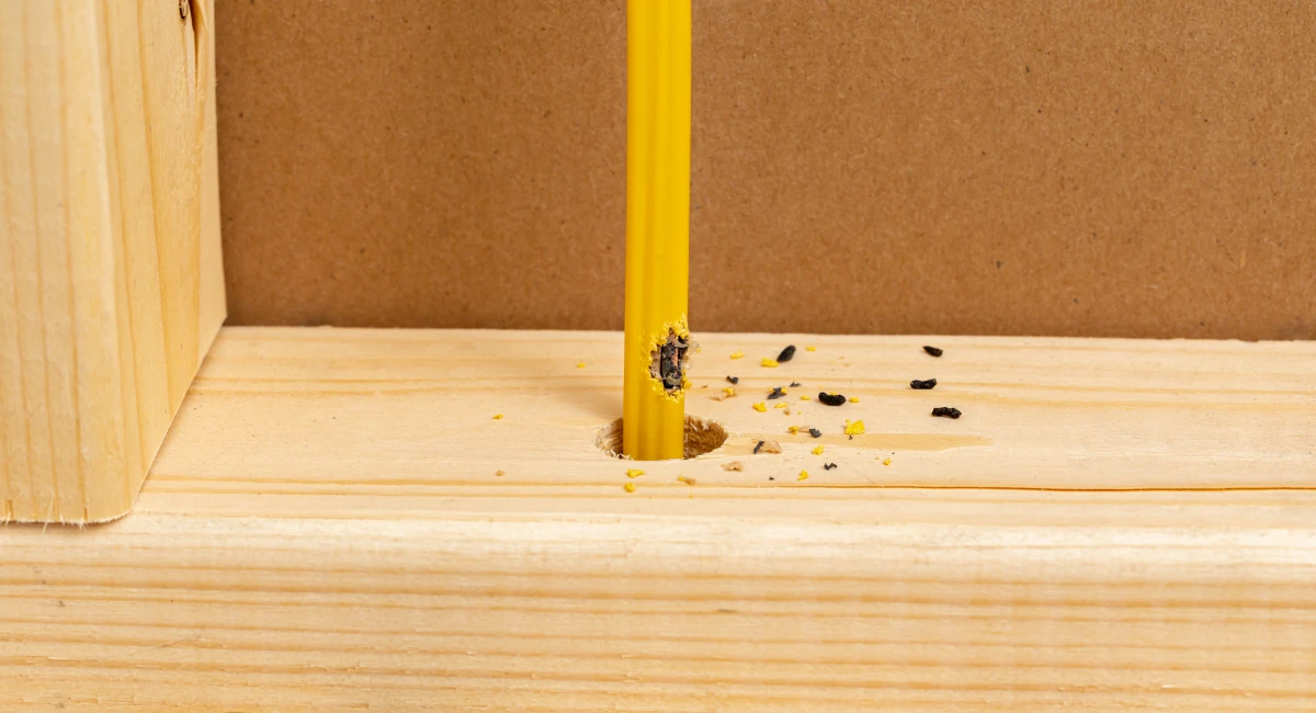 7 Signs of a Mouse Infestation in Your Home | Ehrlich Pest Control