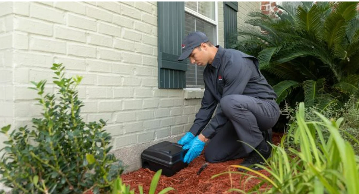 Mouse Control & Removal Services | Mice Exterminator | Ehrlich